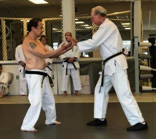 Learn Karate Online | Okinawan Martial Arts Classes at Home